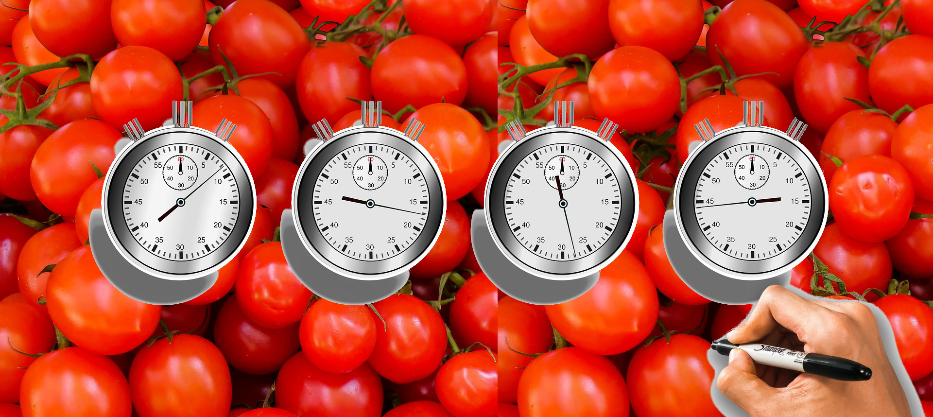 Writing with the Pomodoro Technique (For Productivity and Health) | T.Z ...